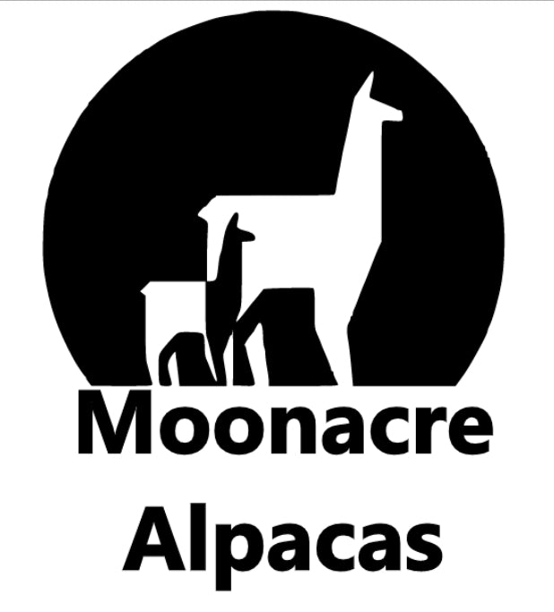 Diamond Dots – Moonacre Yarn and Craft Boutique